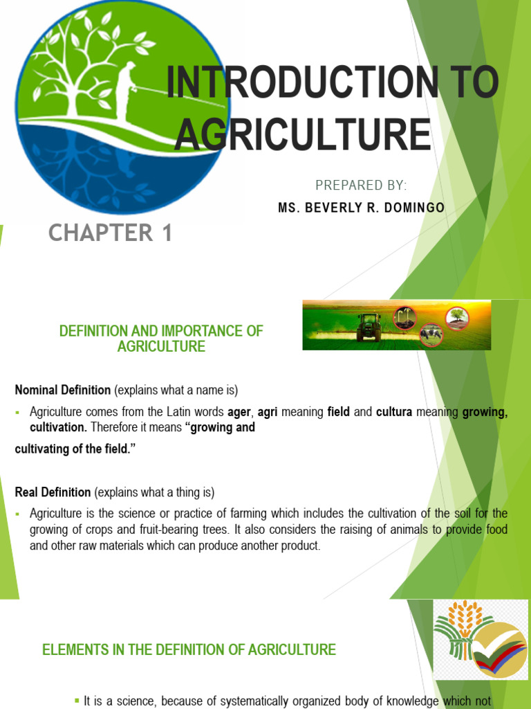 Introduction to Agriculture Basics | PDF | Leaf | Science & Mathematics