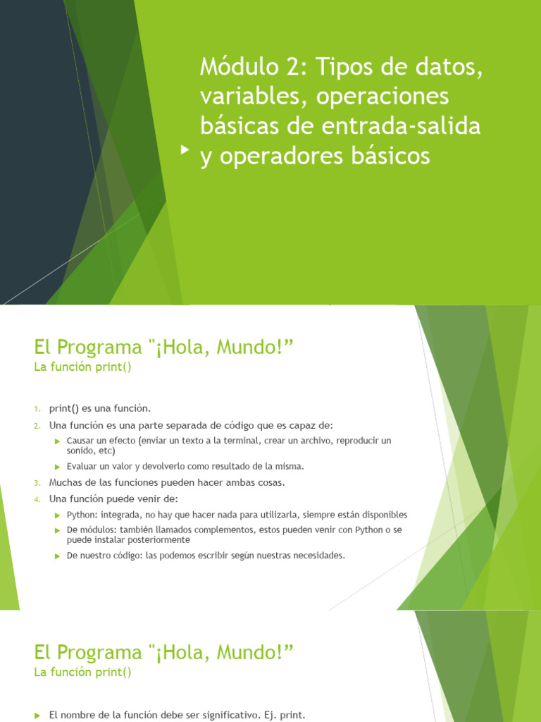 Profesional Digital - Fundamentos de Python 1 - Clase 02 | PDF