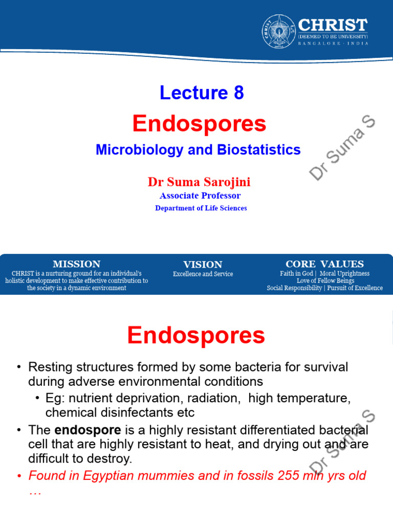 8 Endospores | PDF