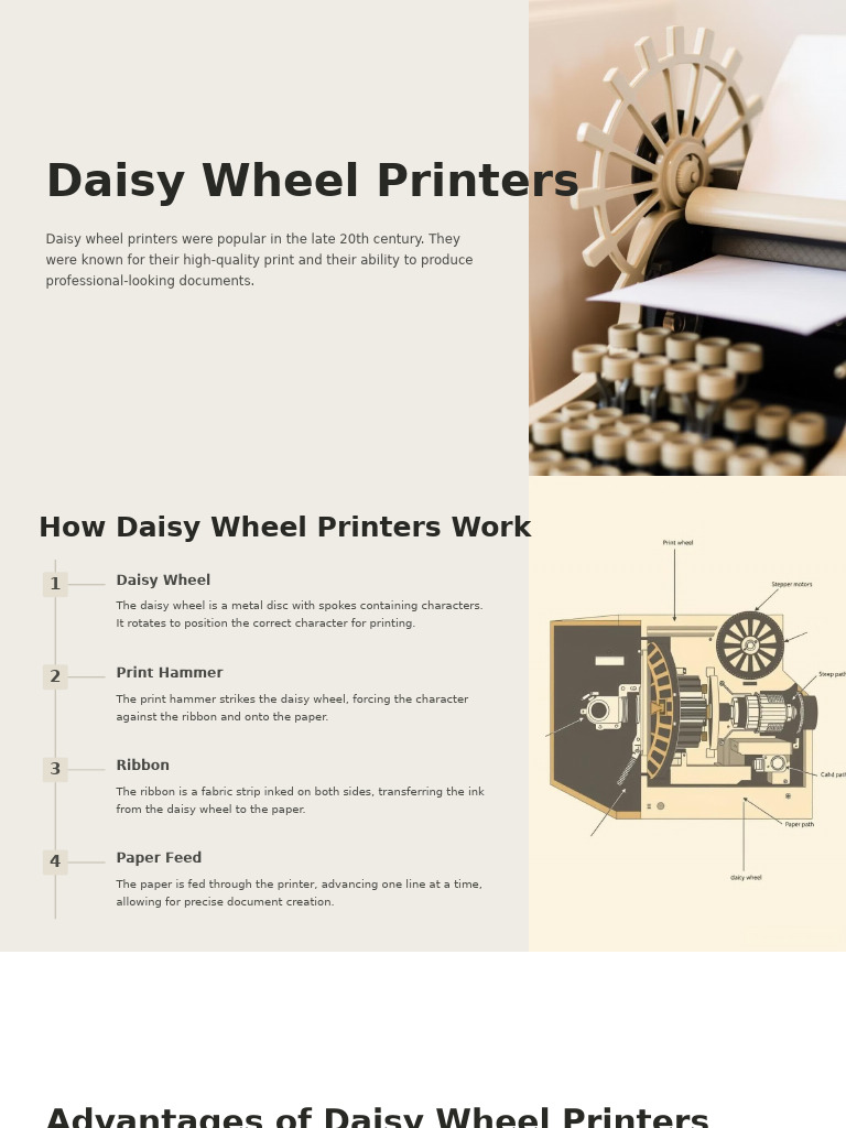 Daisy Wheel Printers | PDF