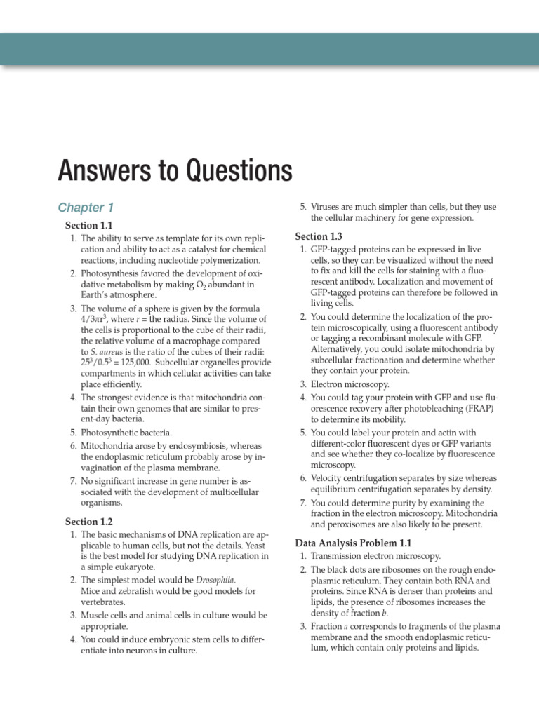 Answer | PDF