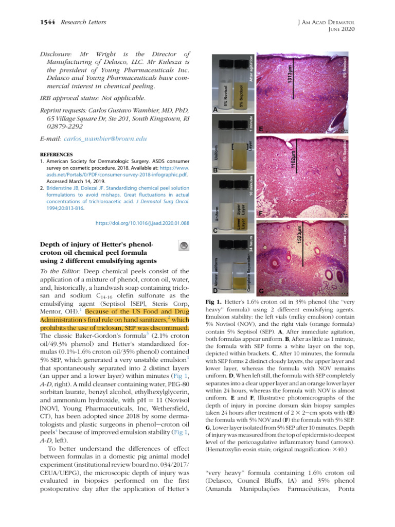 Depth of injury of Hetter’s phenol- croton oil chemical peel formula ...