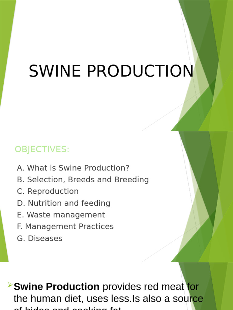 Swine Production and Management Overview | PDF | Nutrients | Vitamin