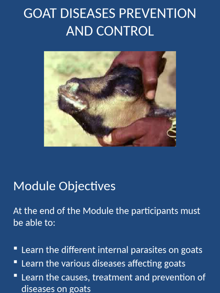Goat DSS Prevention and Control | PDF | Legume | Home & Garden