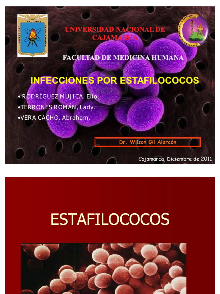 ESTAFILOCOCOS | Staphylococcus Aureus | Estafilococo