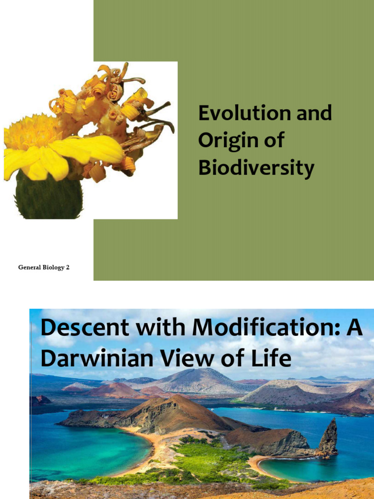 Descent With Modification | PDF