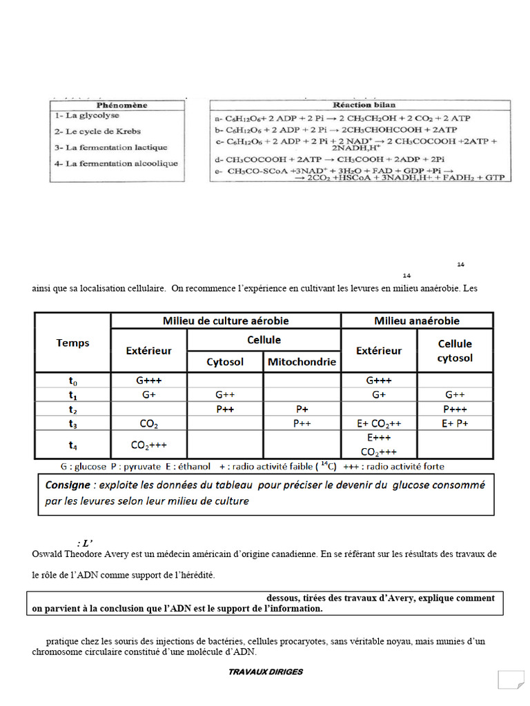 TD N°2 SQ3 Et SQ4 | PDF