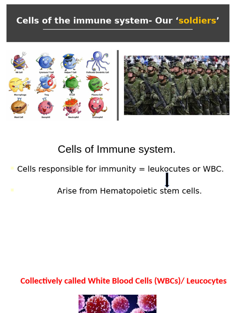 Immune Cells | PDF