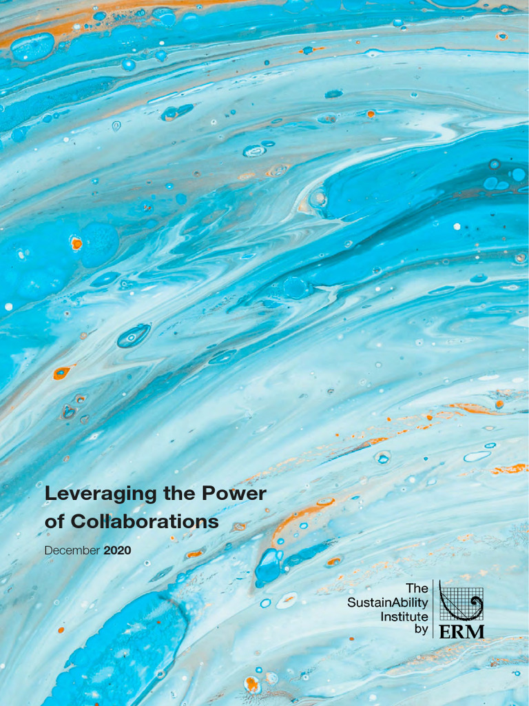 Report Leveraging The Power of Collaborations | PDF