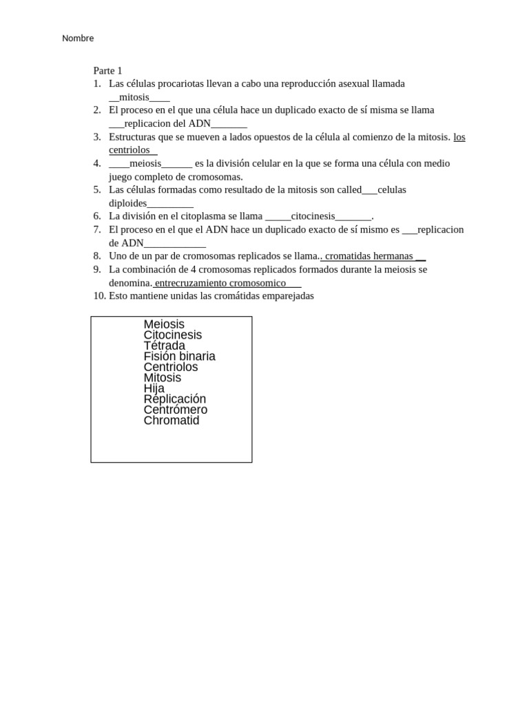 Spanish MandM Test | PDF