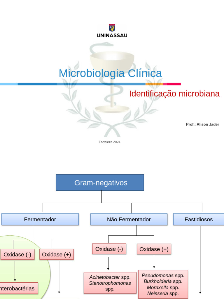 Identificação de Enterobactérias | PDF