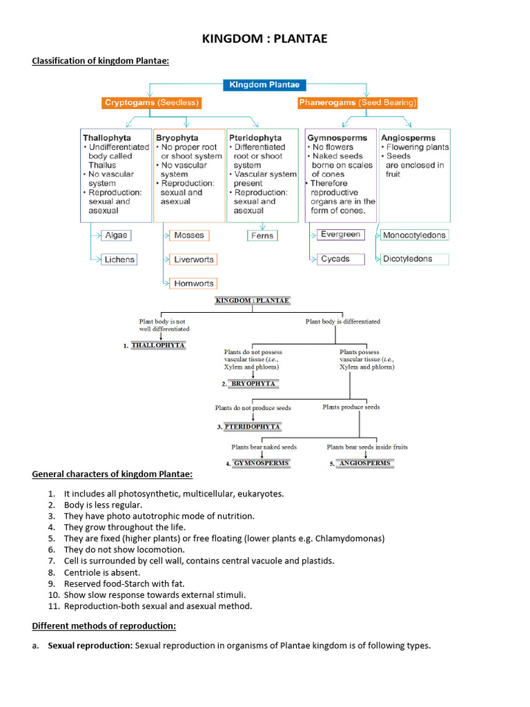 Kingdom Plantae Algae | PDF