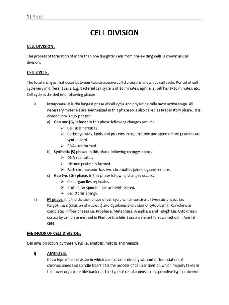 Cell Division | PDF | Mitosis | Meiosis
