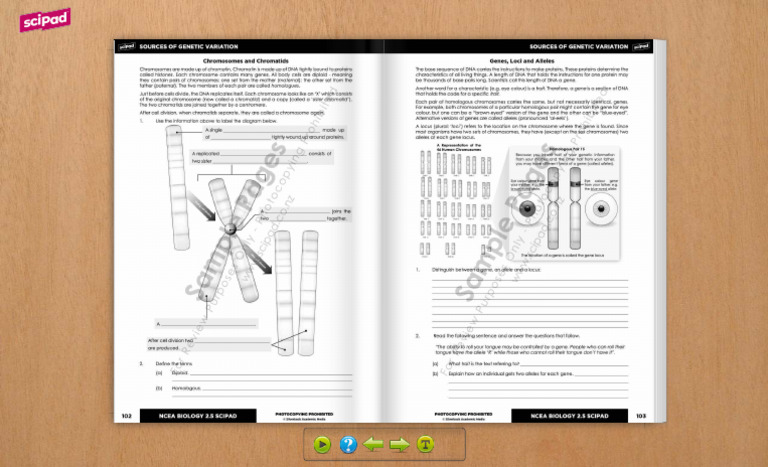 Biology 2.5 sciPAD Micro 3 | PDF