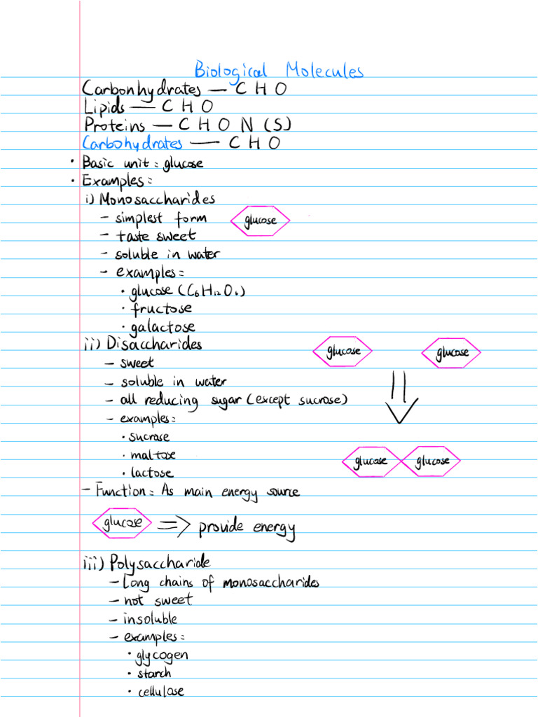 Biological Molecules Notes | PDF