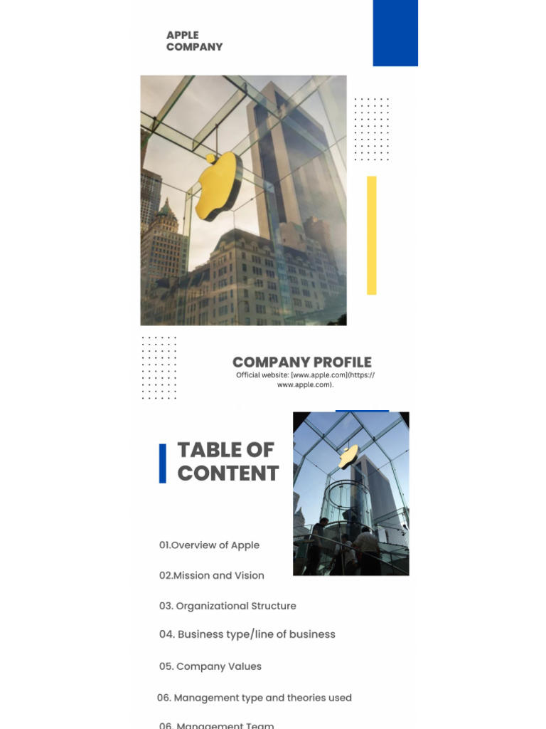 Presentation WPS Office | PDF