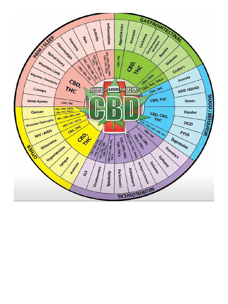 Wheel Chart 1 | PDF