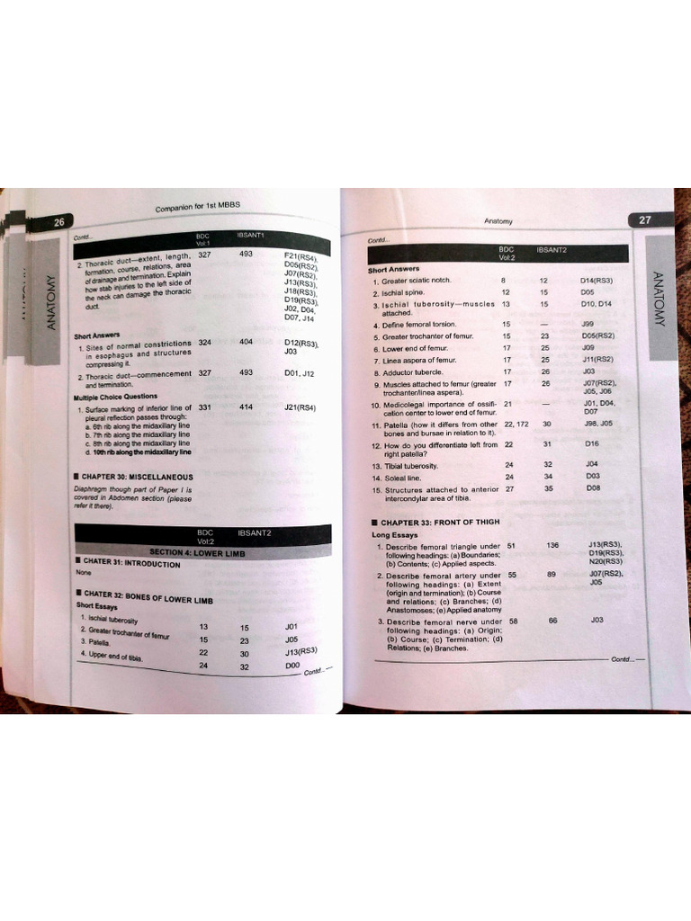 Lower Limb Anatomy Singi | PDF