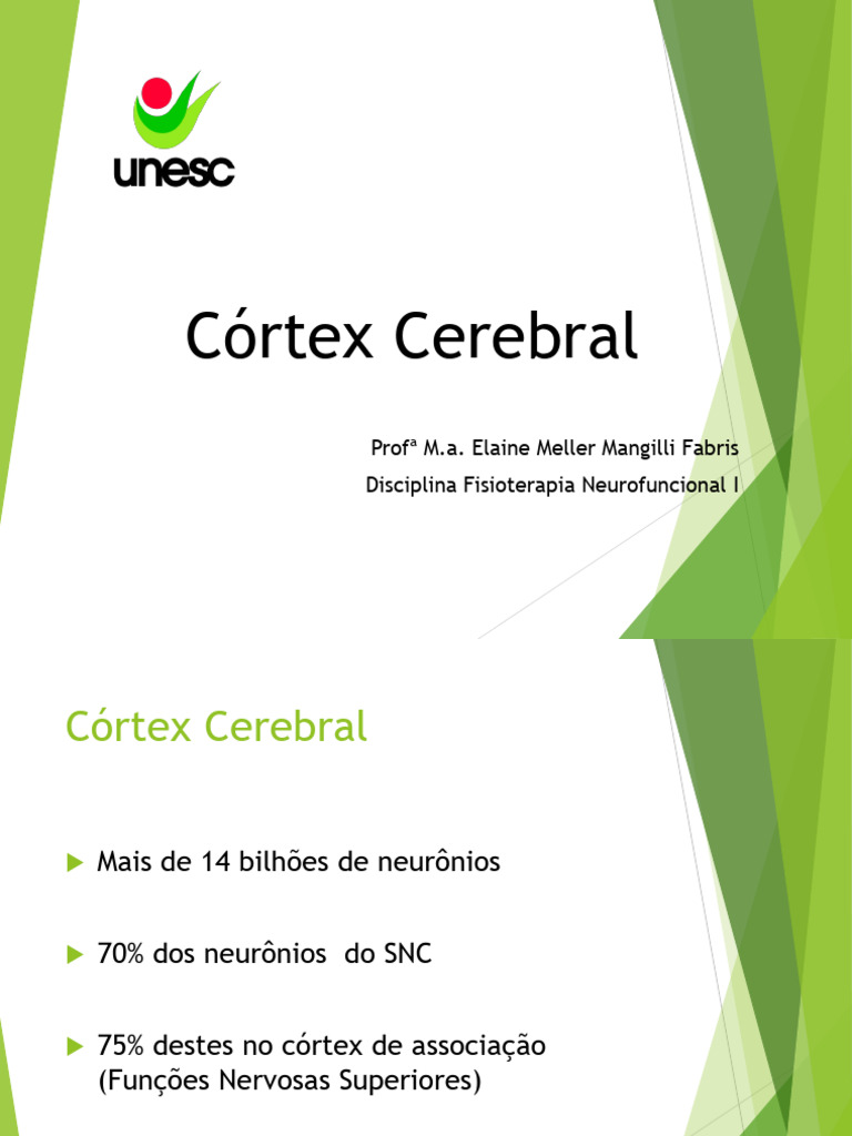 Cortex | PDF