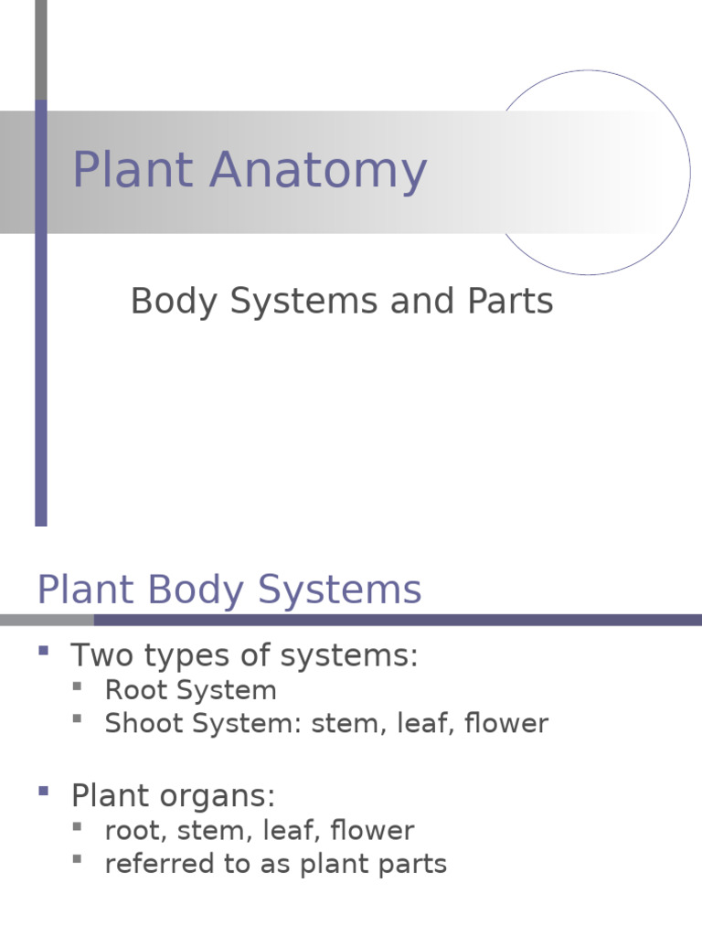 Plant Atonomy | PDF
