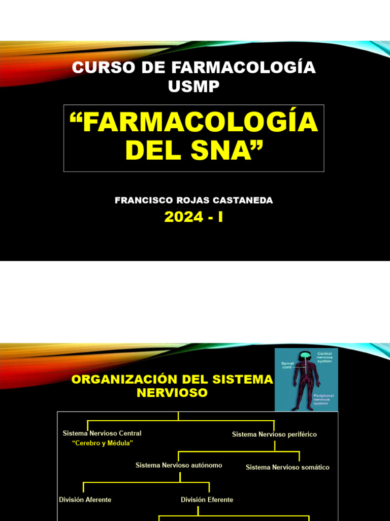 2024-I - Farmacología SNA - Parasimpáticov2 | PDF