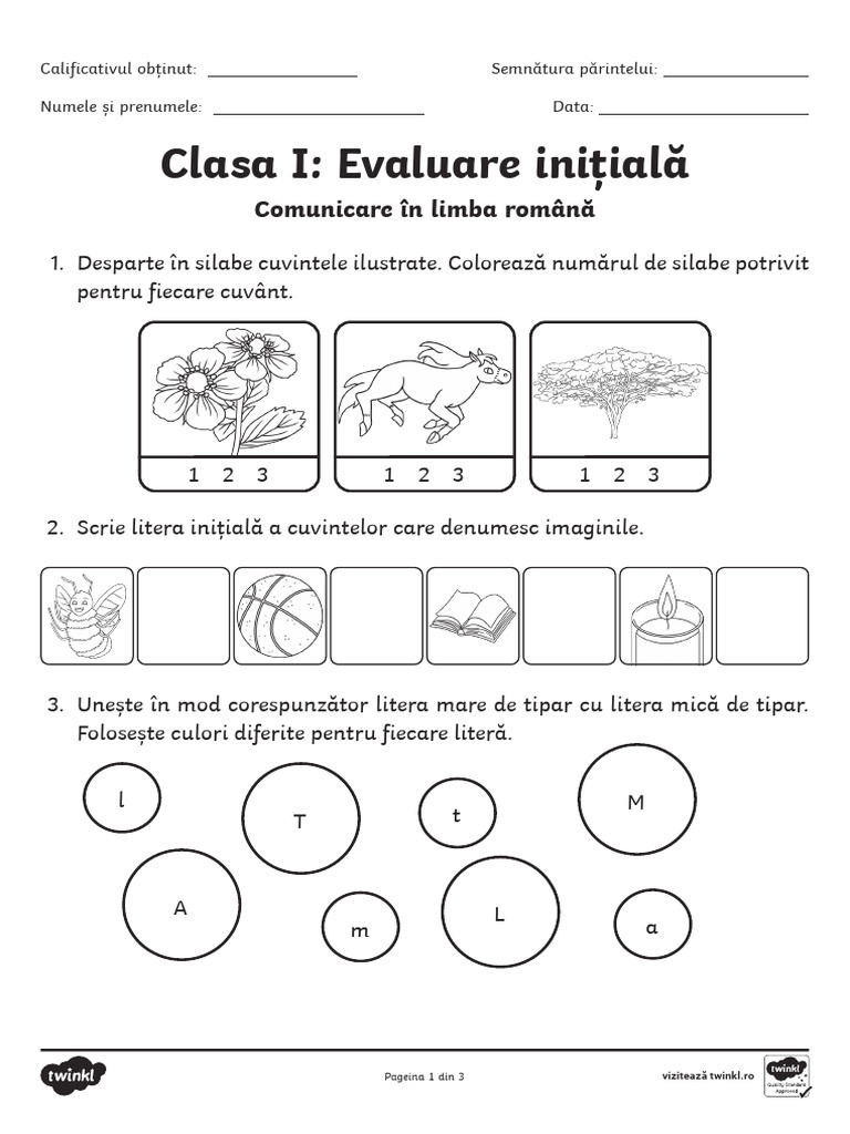 CLR - Clasa I - Evaluare Initiala | PDF