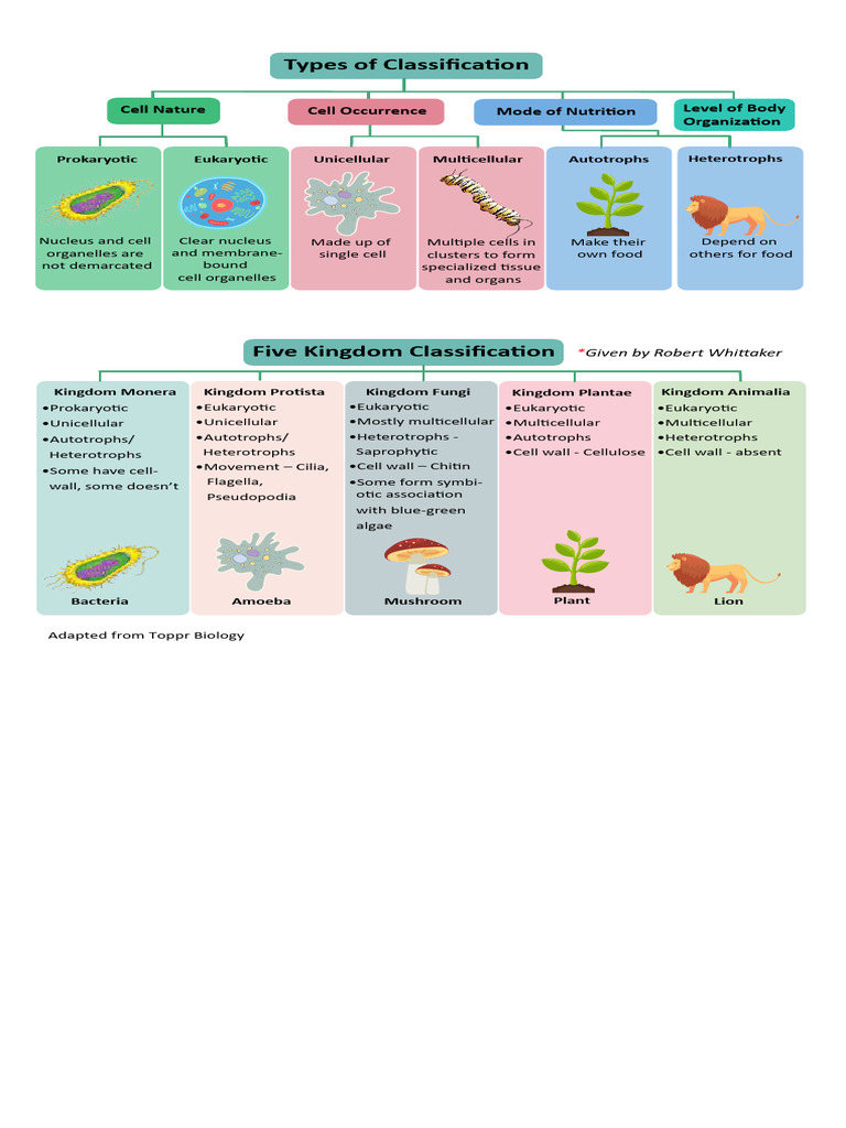 5 Kingdom Classification | PDF