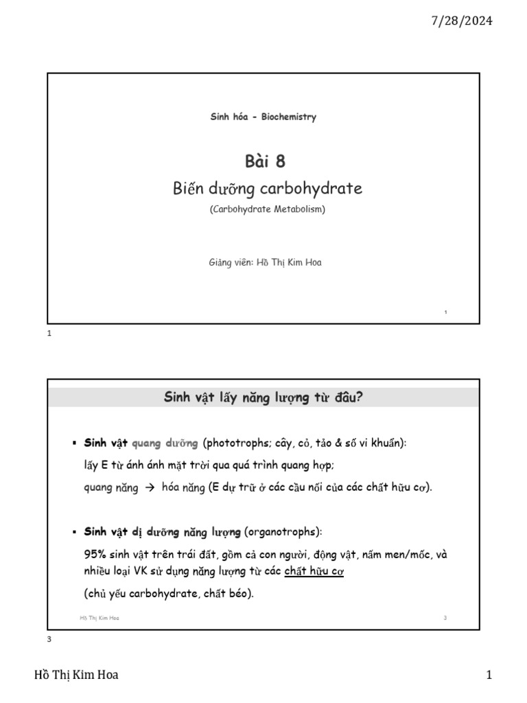 Sinh Hoa Ch8 BD Carbohydrate | PDF