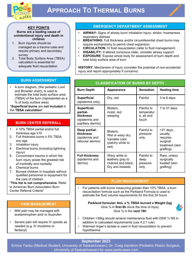Approach To Thermal Burns | PDF