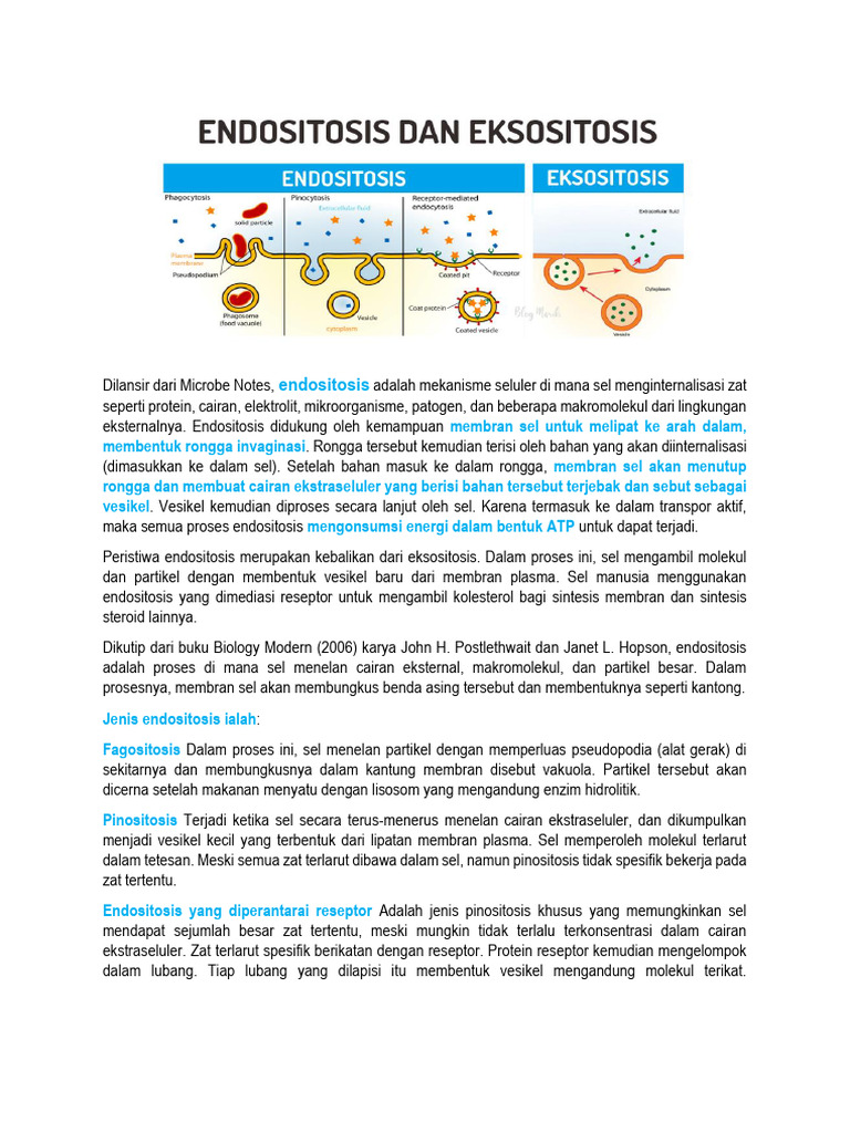 Rangkuman Endositosis Dan Eksositosis | PDF