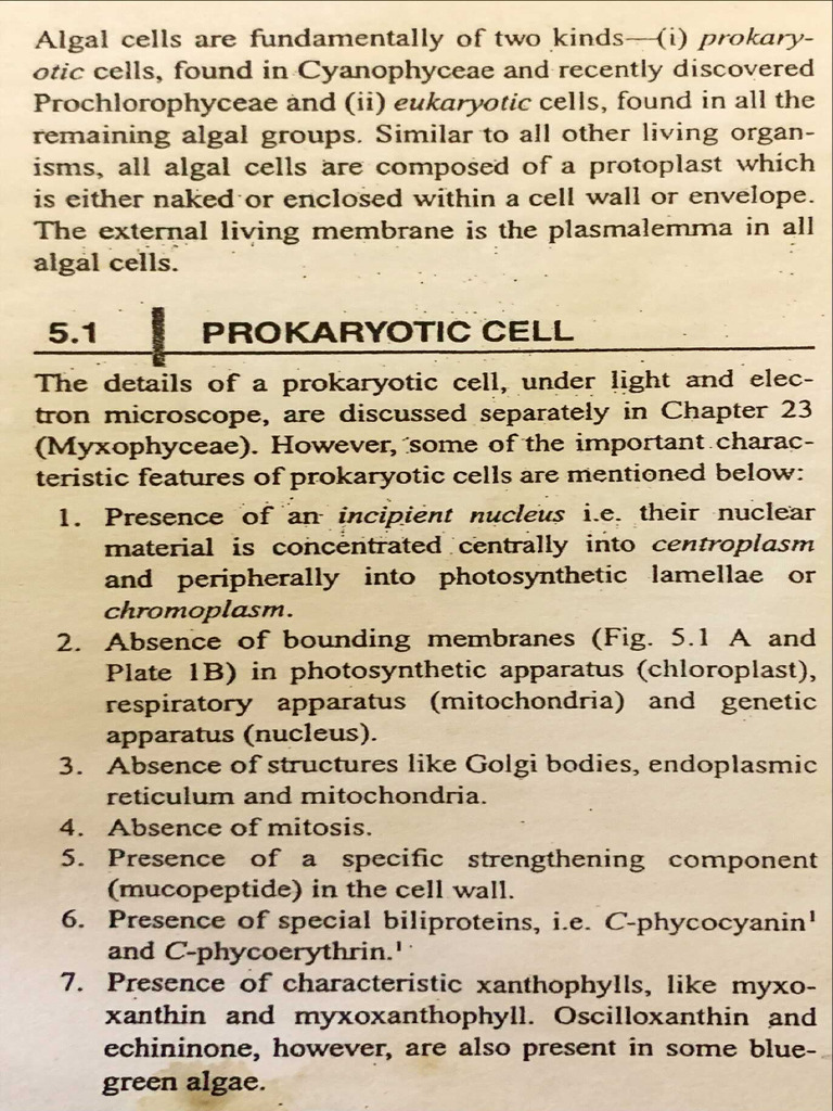 Ultra Structure of Algal Cell | PDF
