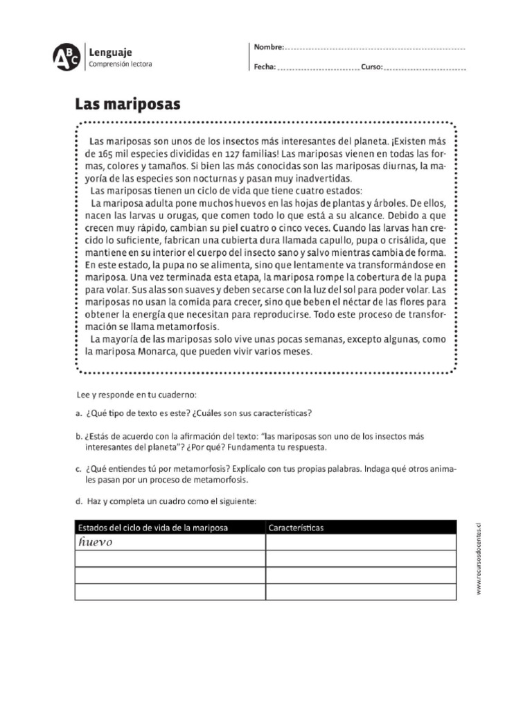 Comprension Lectora 5to | PDF