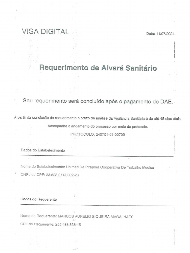 Protocolo Visa | PDF