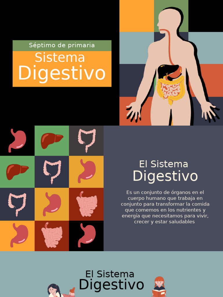 Presentacion Educativa Del Sistema Digestivo Ilustrado Colorido | PDF ...