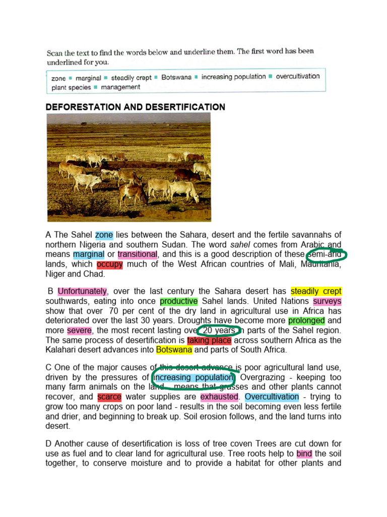 Deforestation and Desertification | PDF