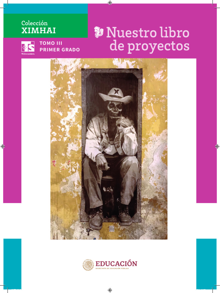 1° - Nuestro Libro de Proyectos - Tomo 3 | PDF