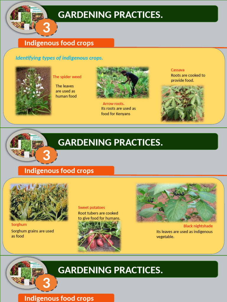 Agri Nutrition - Indigenous Foods | PDF