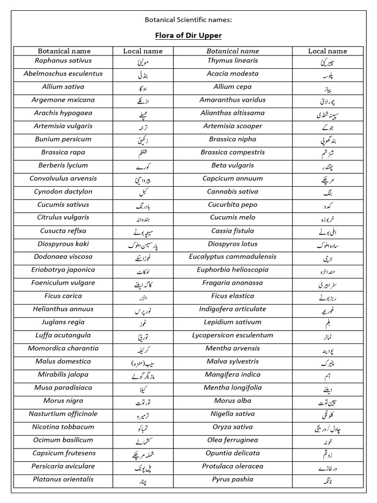 Botanical Scientific Names | PDF