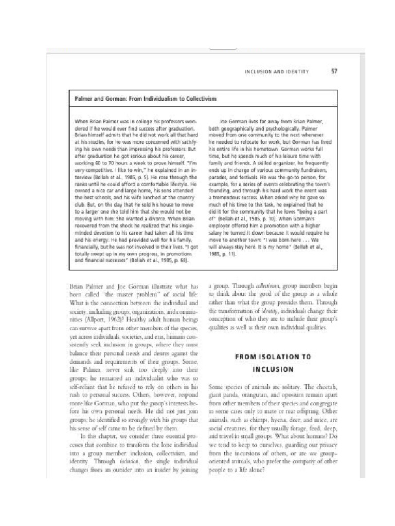 INCLUSION AND IDENTITY | PDF