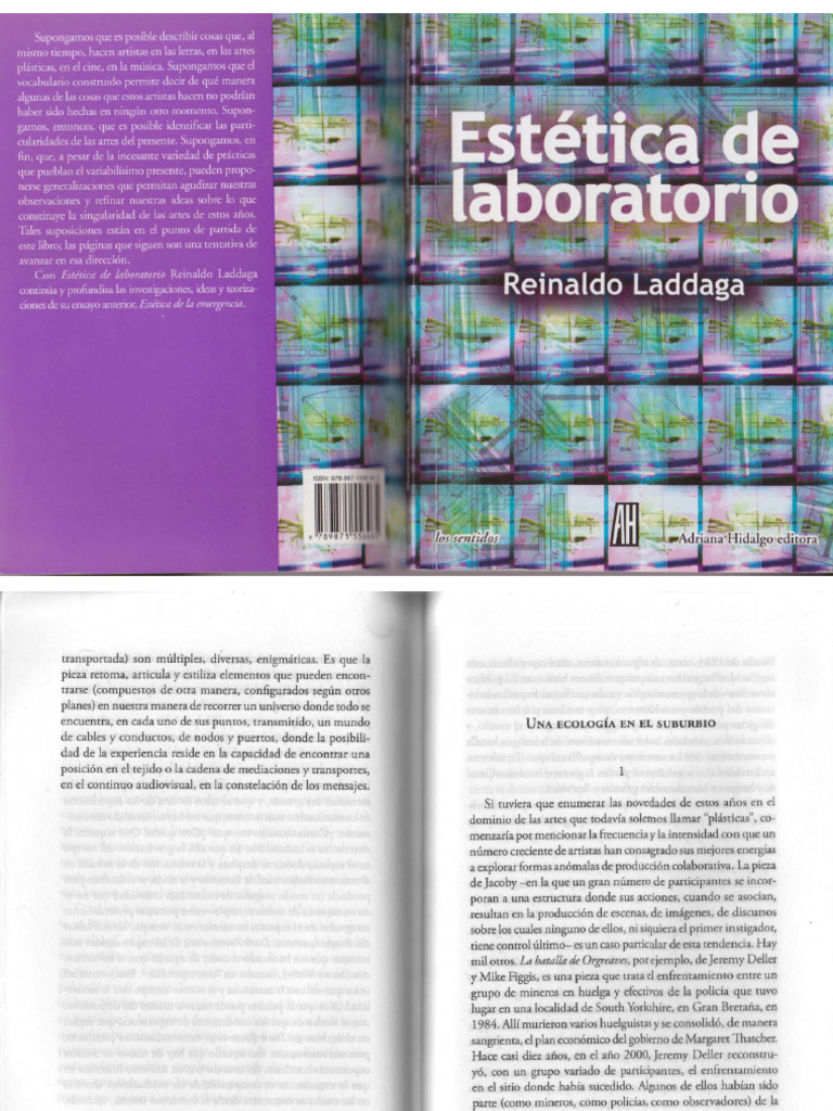 Laddaga, Reinaldo-Estética de Laboratorio - Cap. 1 | PDF