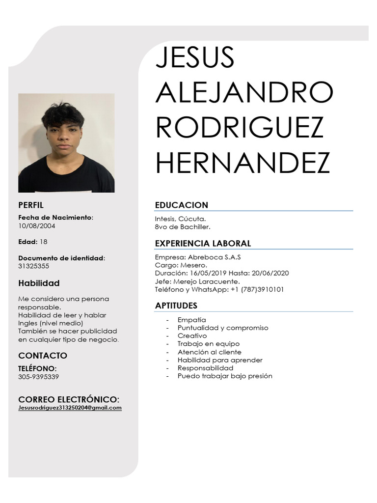 Jesus ALEJANDRO Rodriguez HERNANDEZ Curriculum PDF | PDF