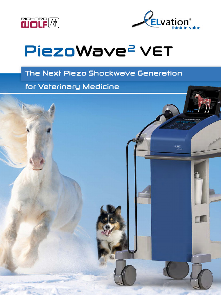 Piezo Shockwave Therapy for Veterinary Use | PDF | Piezoelectricity ...