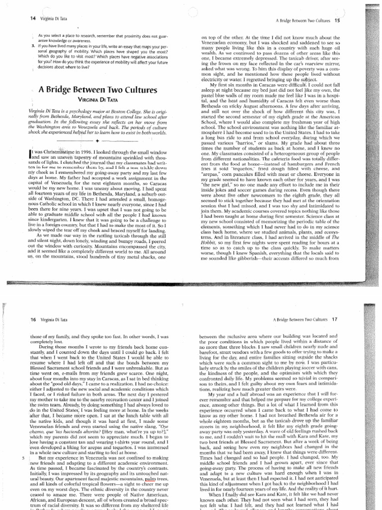 Bridge Between 2 Cultures | PDF