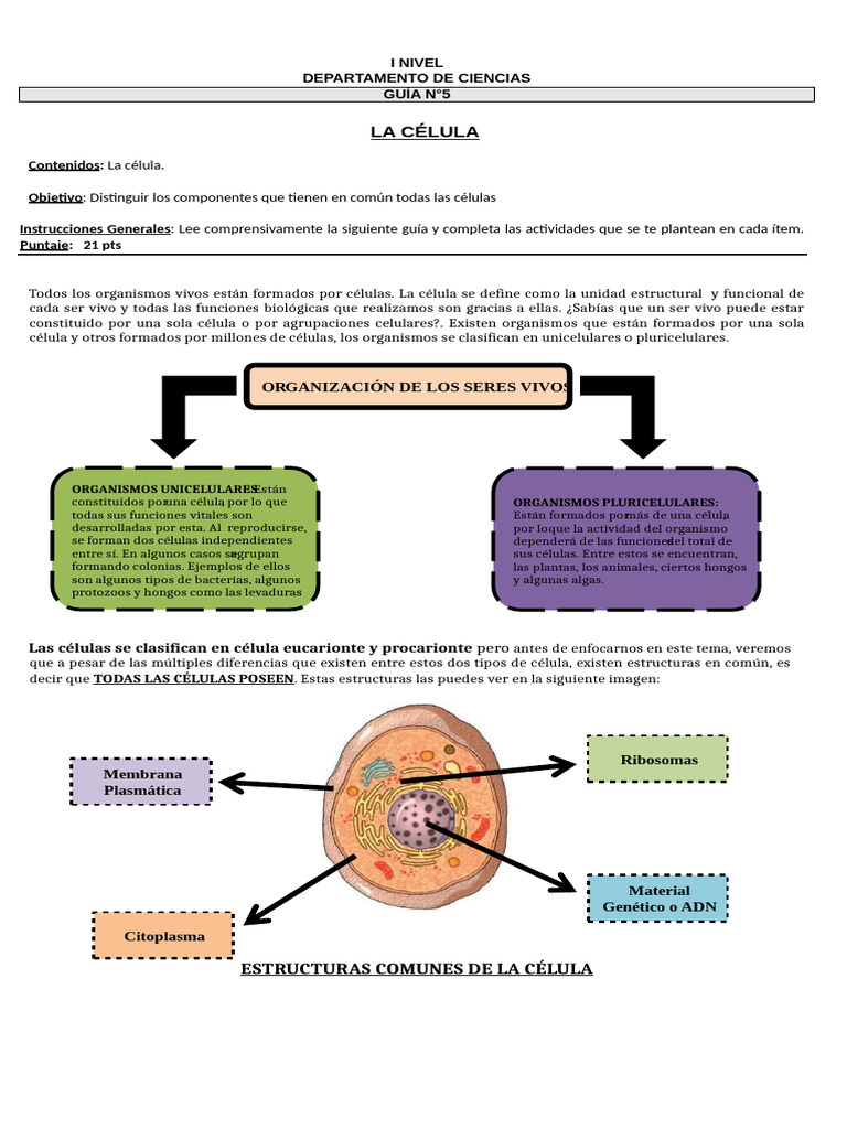 Guia 5 La Celula (I Nivel) | PDF
