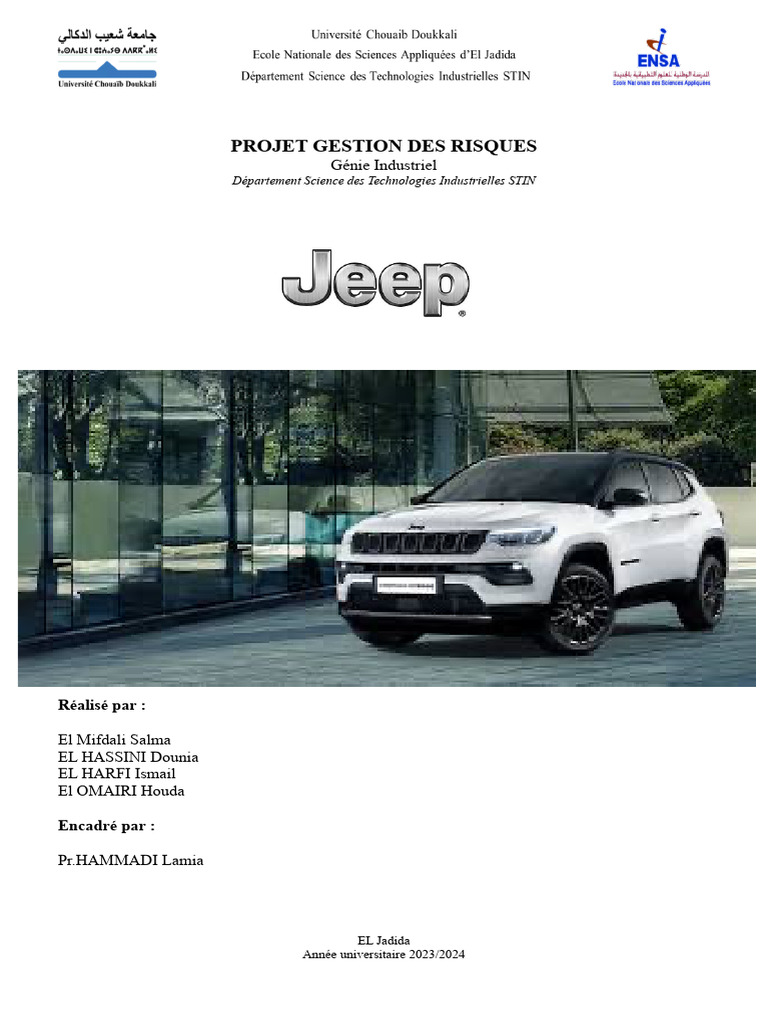 Rapport Gestion Des Risques | PDF