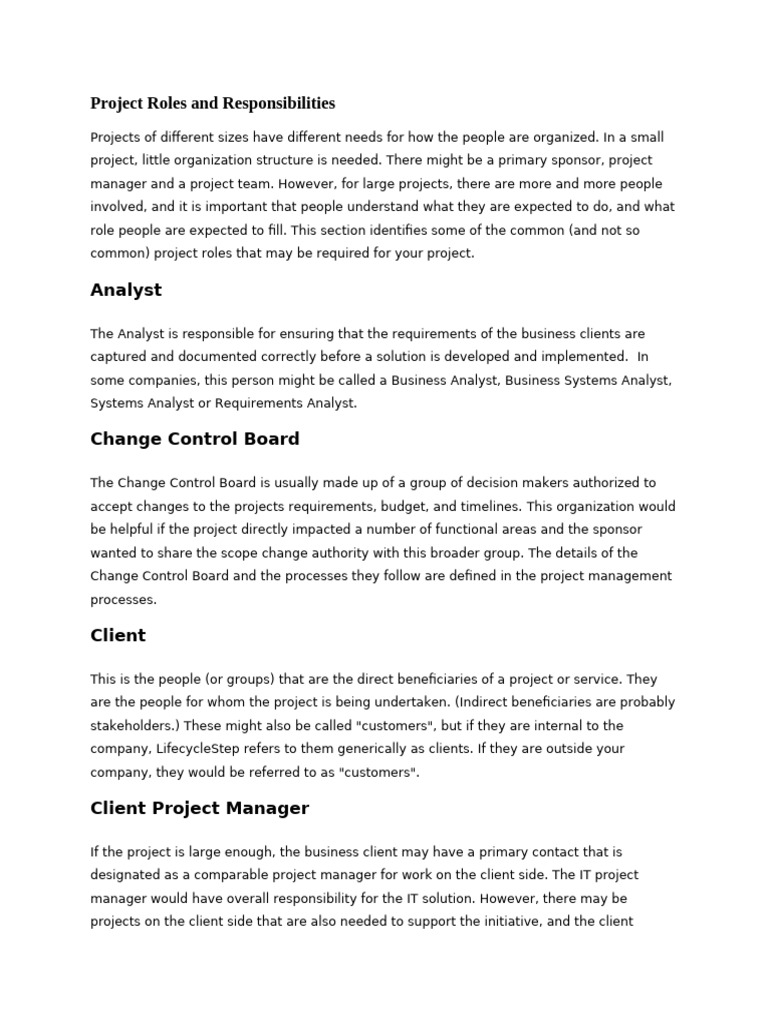 Project Roles and Responsibilities Explained | PDF | Databases | Art