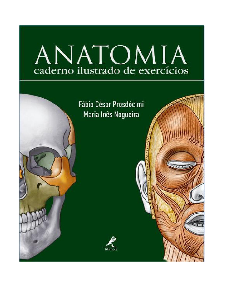 Anatomia Exerc | PDF