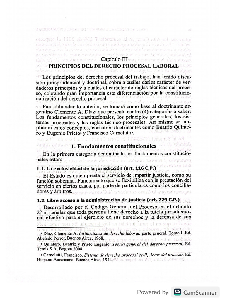 Principios Del Derecho Procesal Laboral | PDF