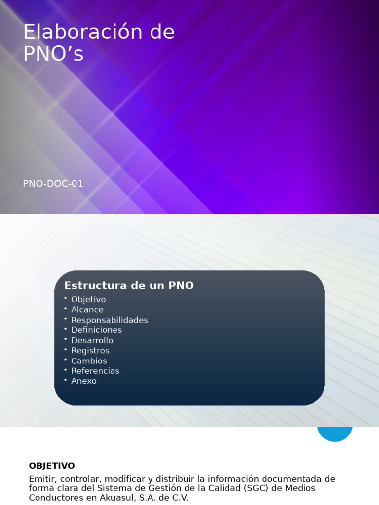 Elaboración de PNO's | PDF
