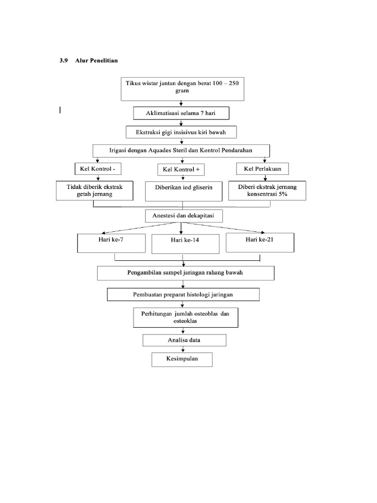 Diagram Alur Penelitian | PDF